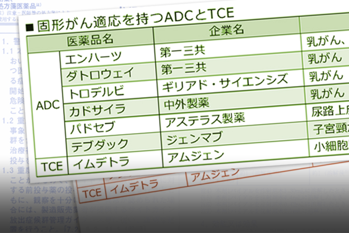 【特集〈9〉・解説】 ADCに勢い、TCEも挑戦続く 次世代抗体の固形がん開発 | 日刊薬業 - 医薬品産業の総合情報サイト